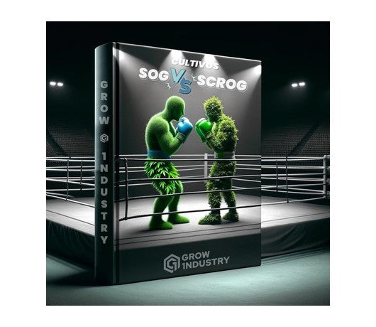 Cultivo SOG y SCROG: Maximiza tu Cultivo de Marihuana — Grow Industry