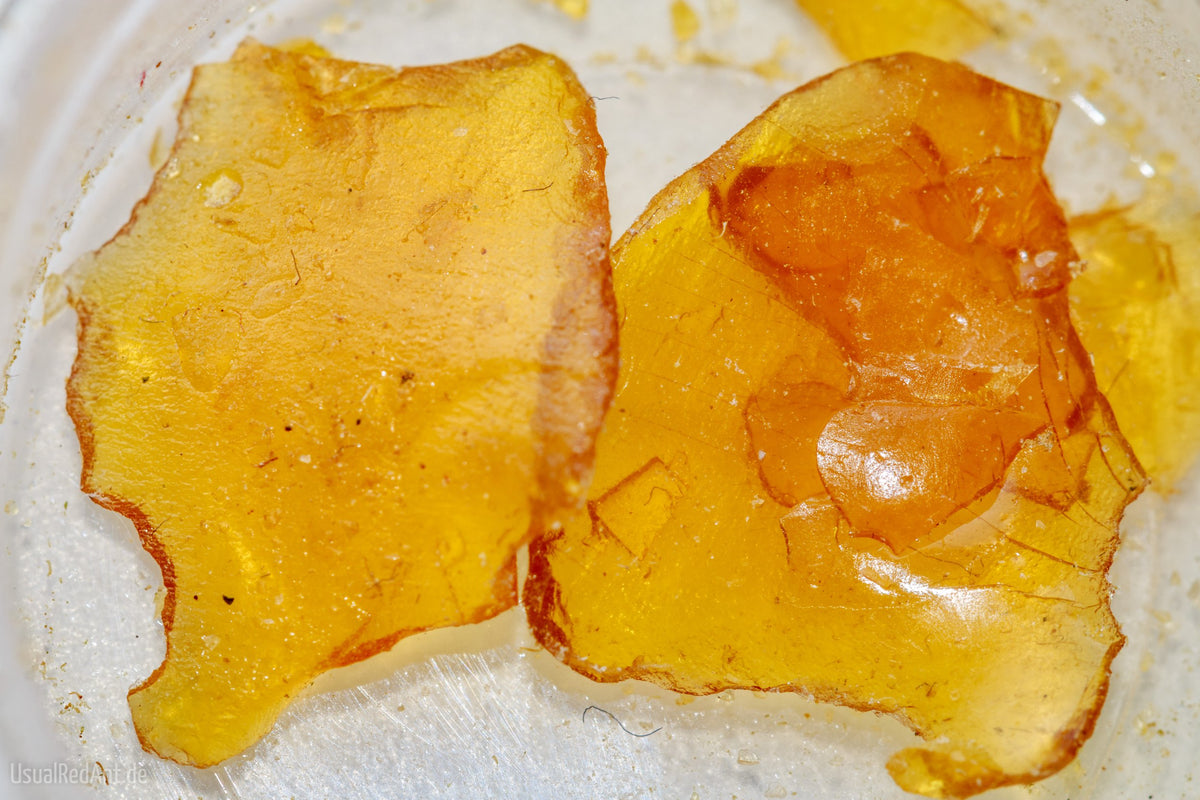 ¿Qué es el Wax?: Efectos y características | GROW 1NDUSTRY