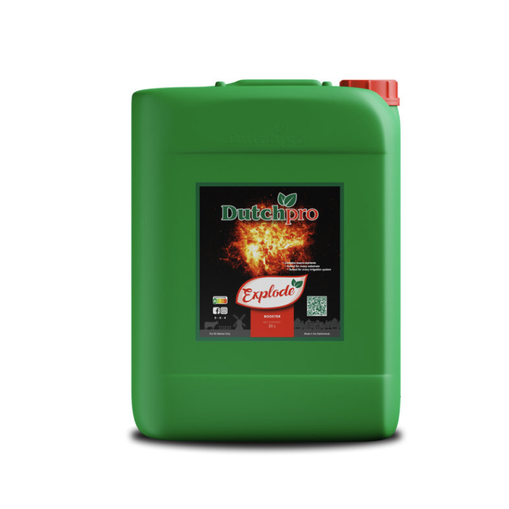Explode DUTCH PRO — Grow Industry